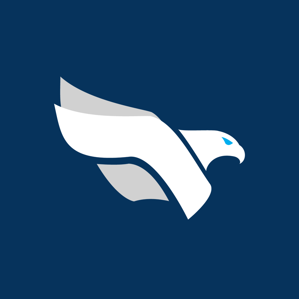 Falcon Software LLC | Contract Software Development in Boise, Idaho